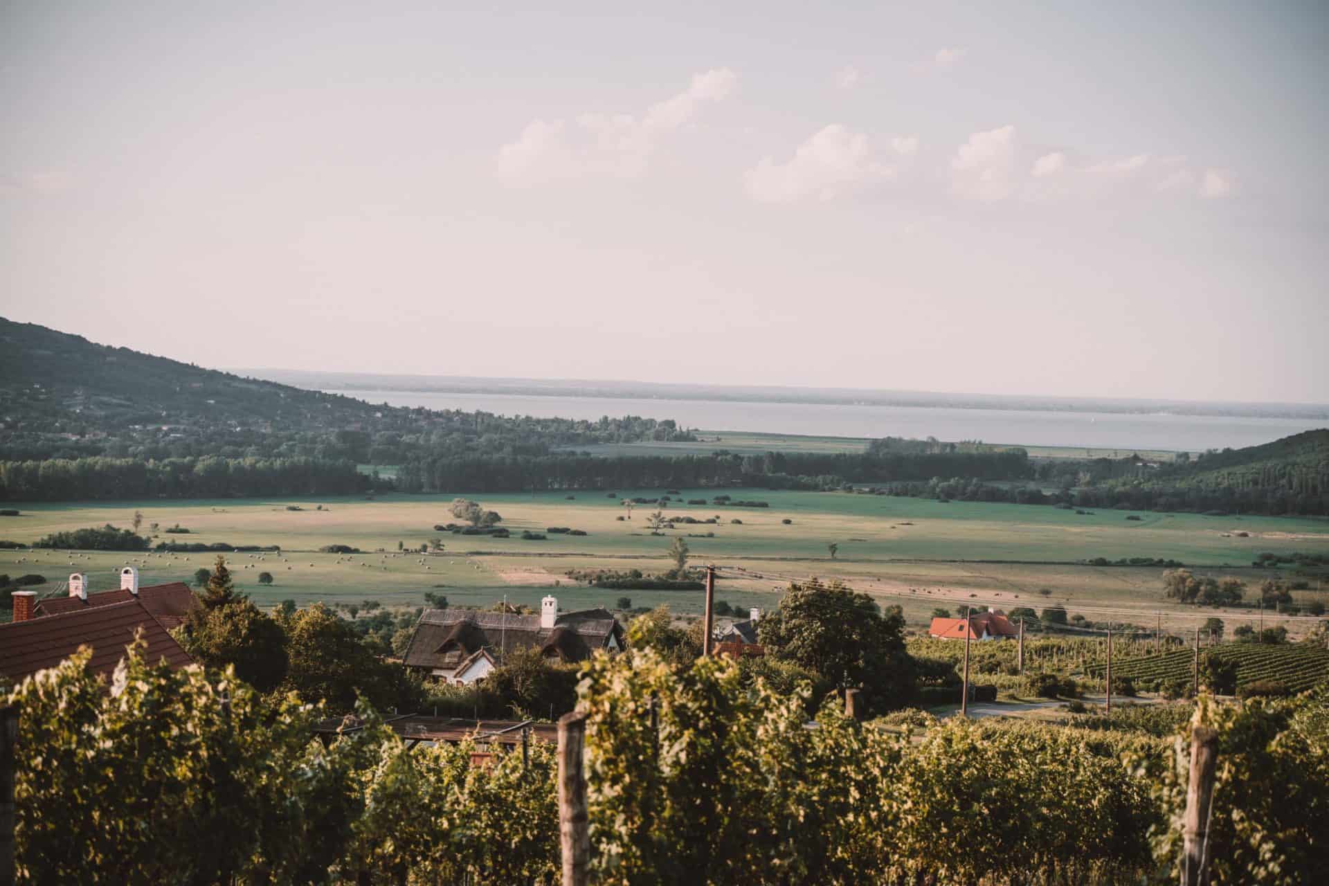Top 10 Unique Things to Do in Balaton. What to do by the Balaton Lake?